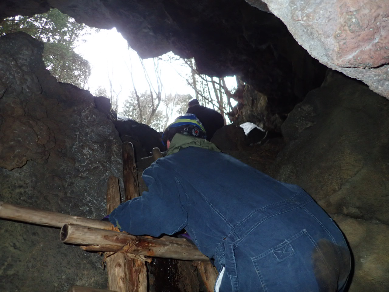 Aokigahara Jyukai Ice cave :: Trip-Fuji トリップフジ