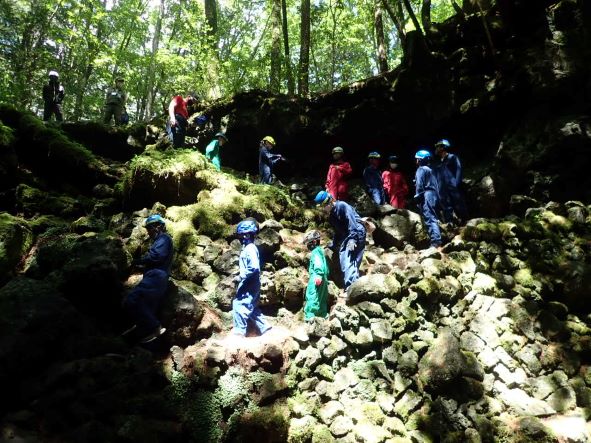Aokigahara Jyukai Ice cave :: Trip-Fuji トリップフジ